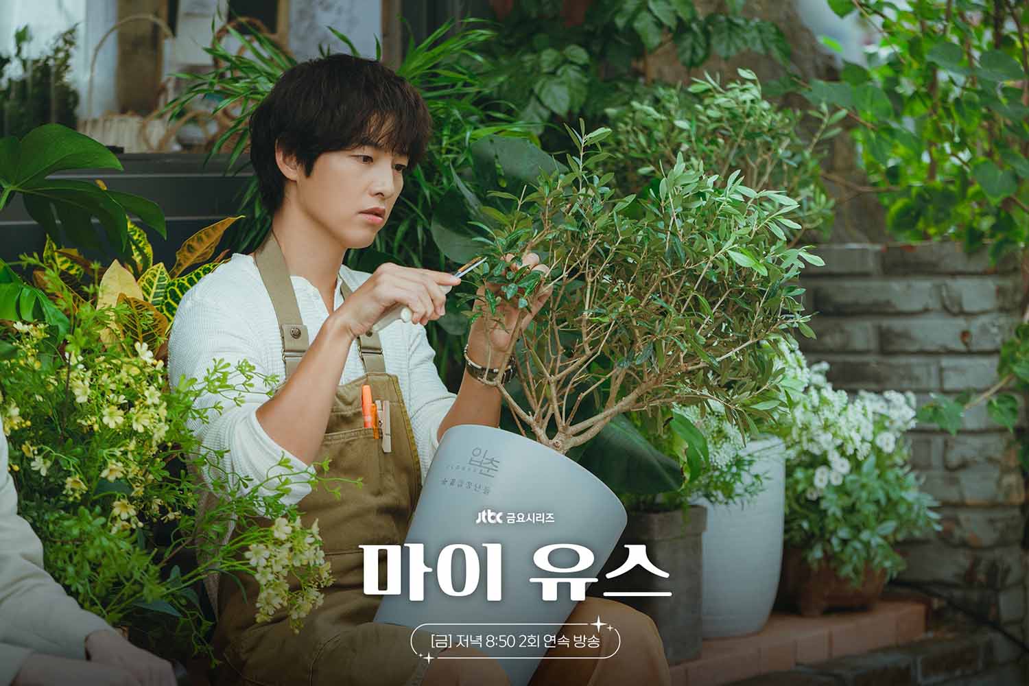 My Youth: Song Joong Ki và Chun Woo Hee mang đến chuyện tình chữa lành ...